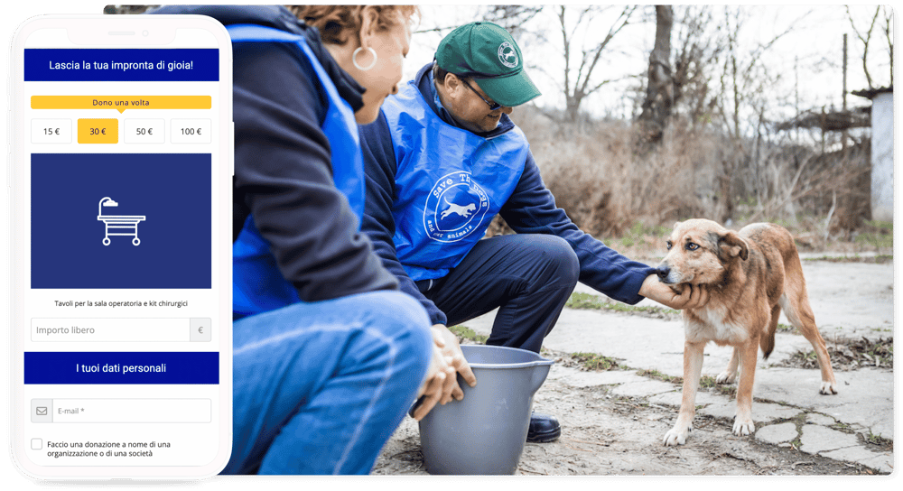 A Fundraising Success Story: Save the Dogs & Other Animals